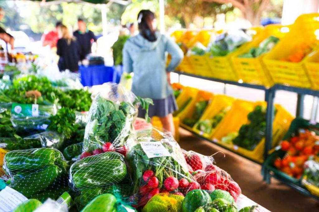 MAPA lança campanha nacional para promover produtos orgânicos | InfocoMS